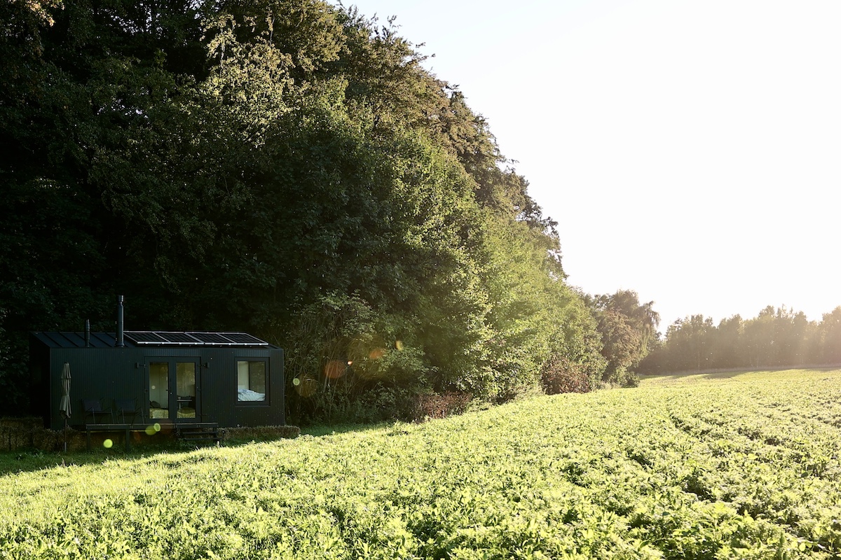 Raus, raus, raus - Taste Hamburg